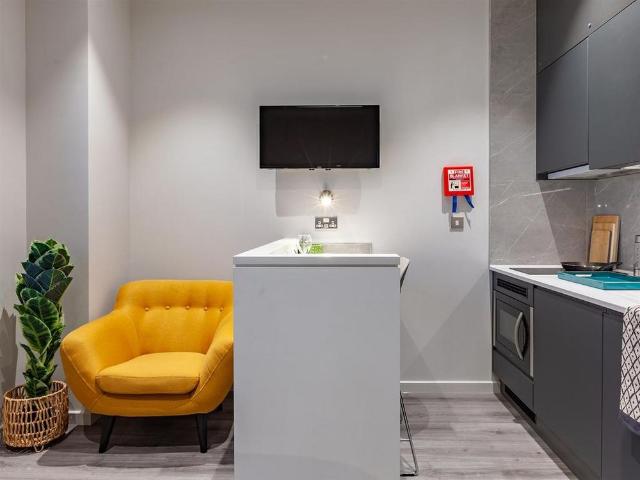Studio to rent