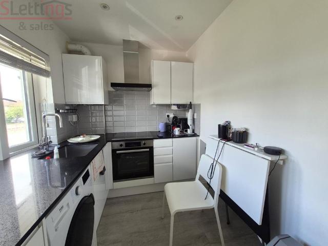 Studio to rent
