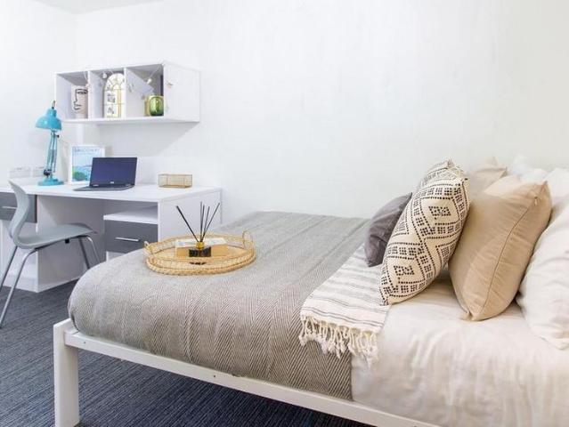 Studio to rent