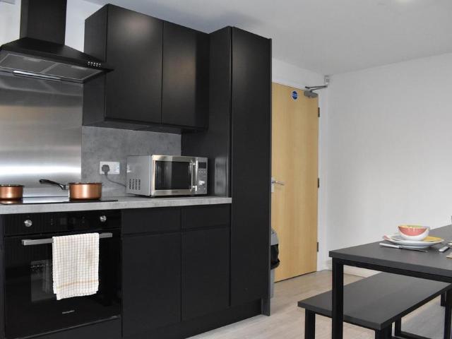 Studio to rent