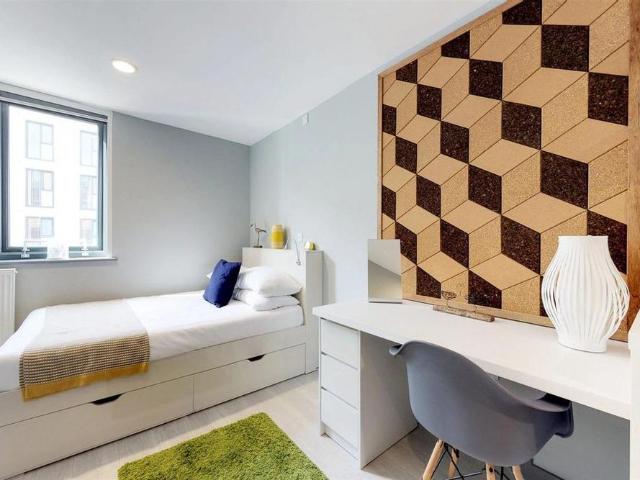 Studio to rent