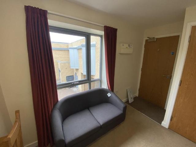 Studio to rent