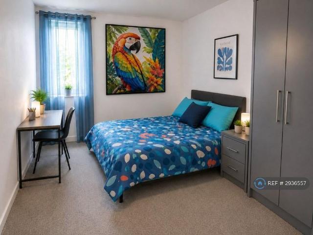 Studio to rent