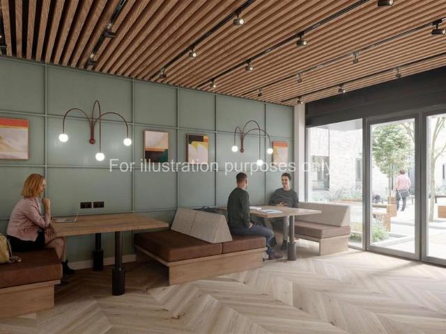 Studio to rent
