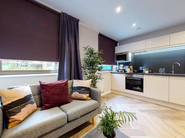 Studio to rent