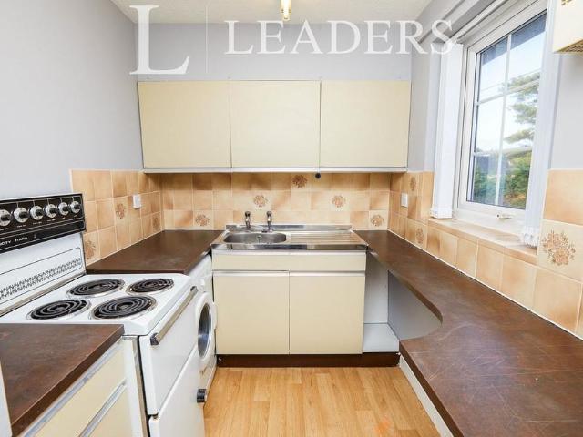 Studio to rent