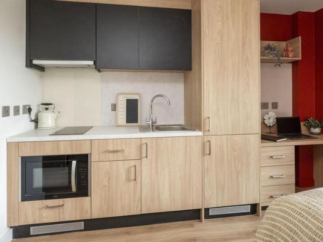 Studio to rent