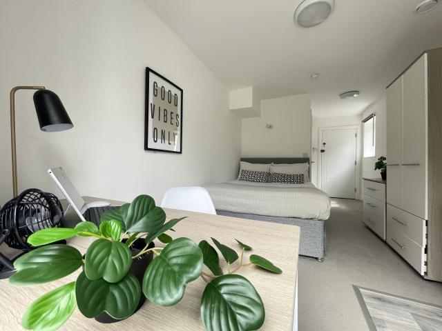 Studio to rent