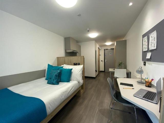 Studio to rent