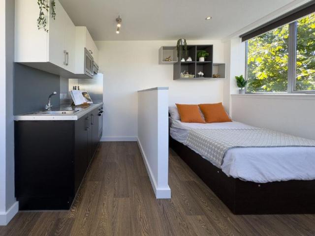 Studio to rent