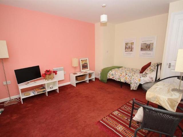 Studio to rent