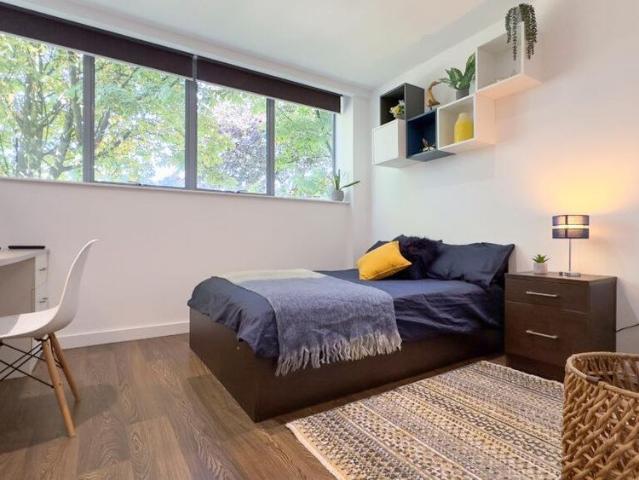 Studio to rent