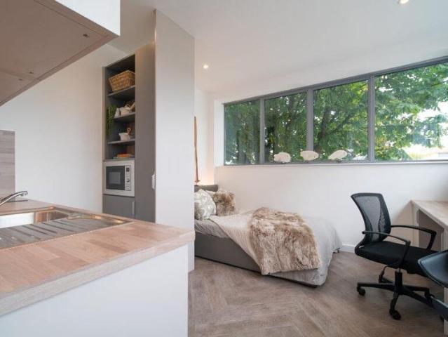 Studio to rent