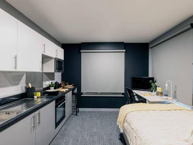 Studio to rent