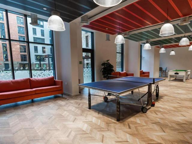 Studio to rent