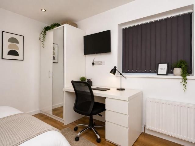 Studio to rent