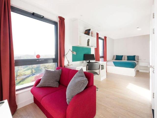 Studio to rent