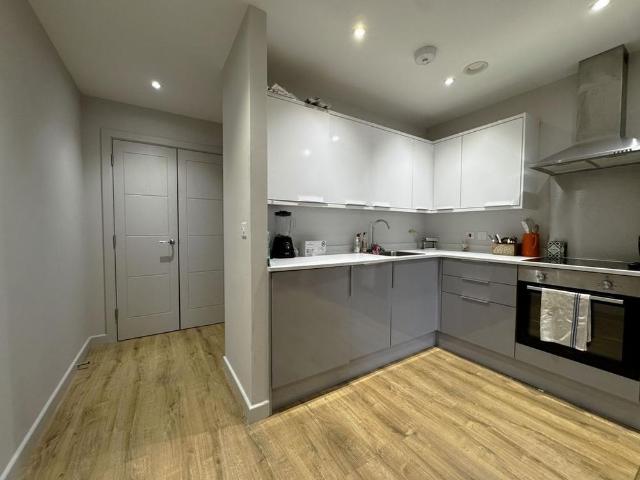 Studio to rent