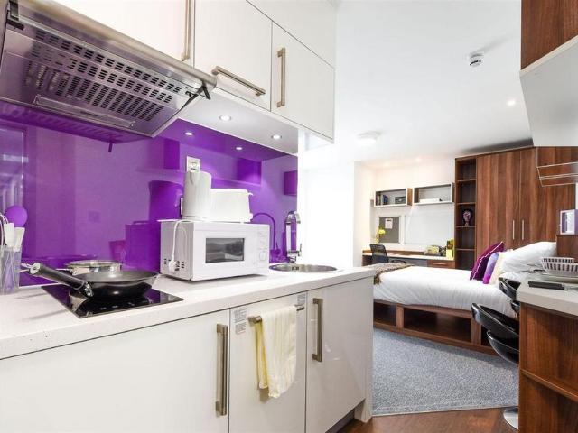 Studio to rent