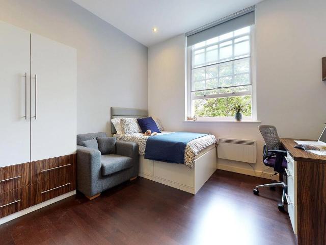 Studio to rent