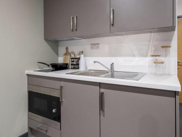 Studio to rent