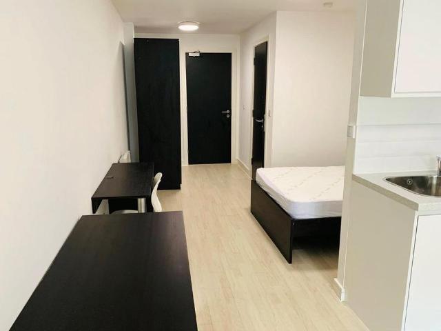 Studio to rent