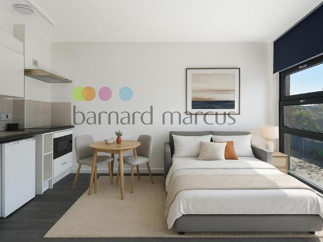 Studio to rent