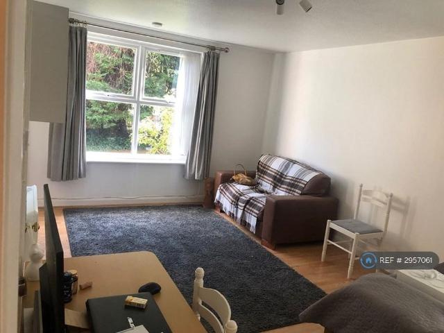 Studio to rent