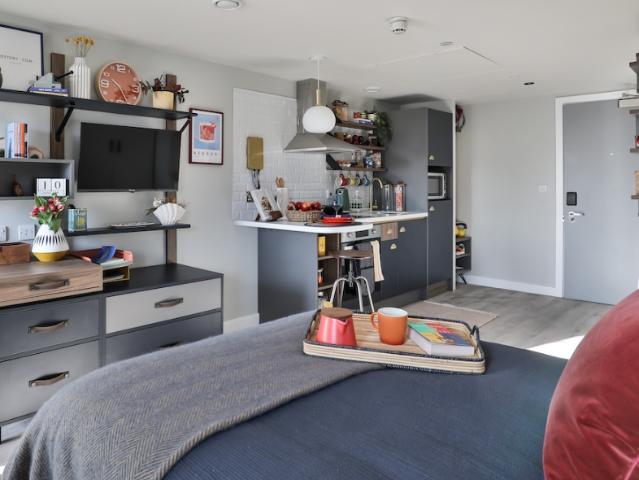 Studio to rent