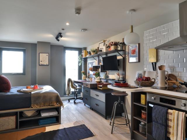 Studio to rent