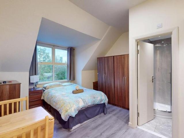 Studio to rent