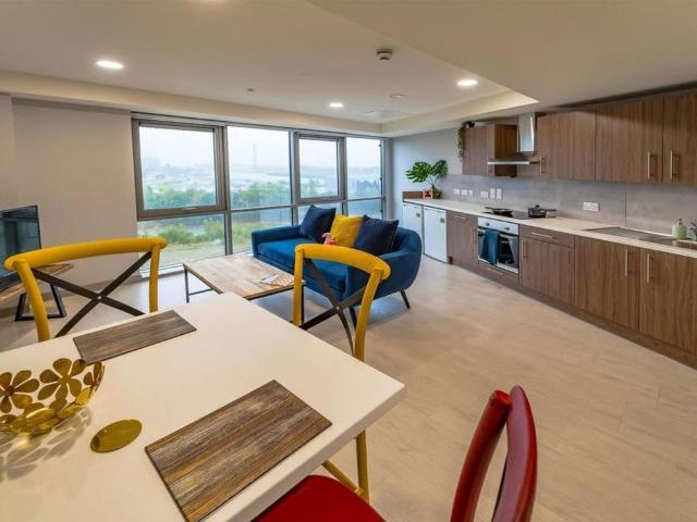 Studio to rent