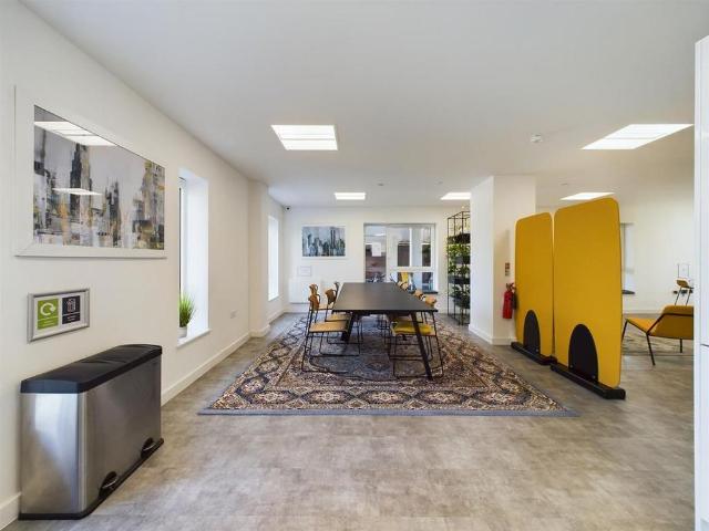 Studio to rent
