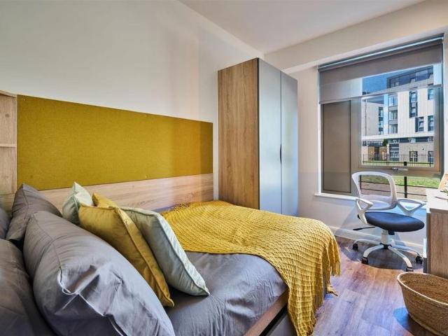 Studio to rent