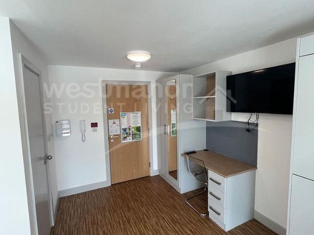 Studio to rent
