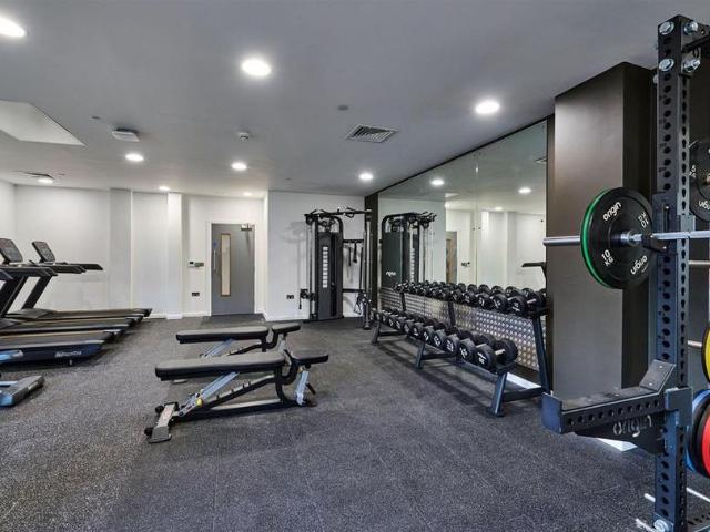 Studio to rent
