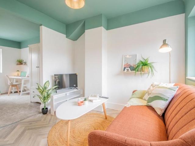 Studio to rent