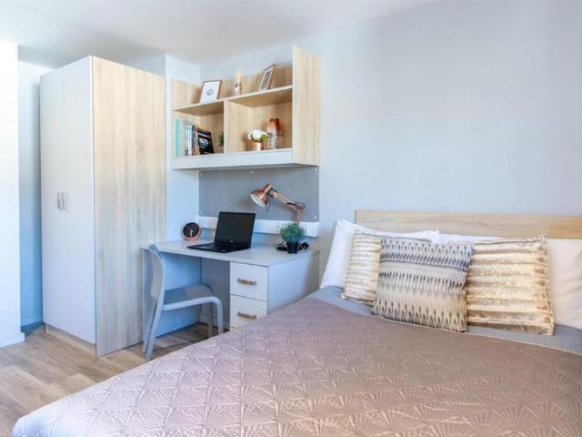 Studio to rent