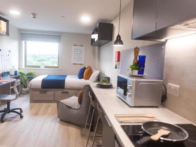 Studio to rent