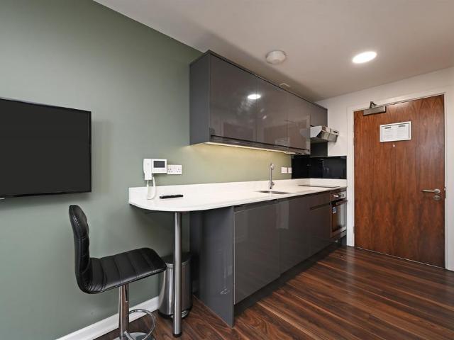 Studio to rent