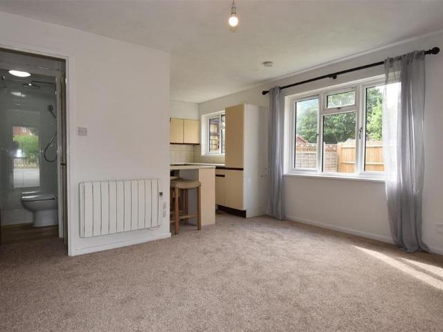 Studio to rent