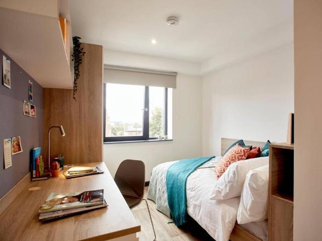 Studio to rent