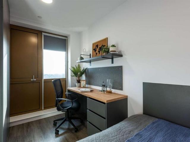 Studio to rent