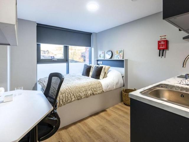 Studio to rent