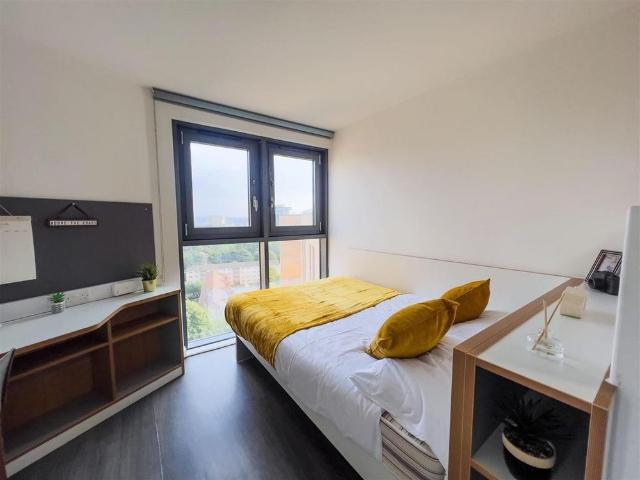 Studio to rent