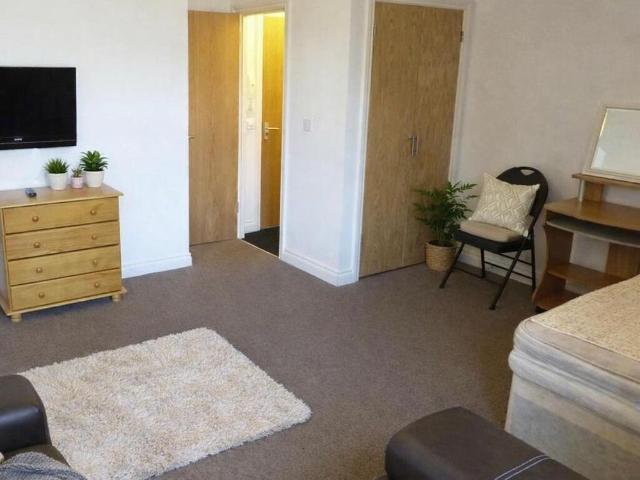 Studio to rent