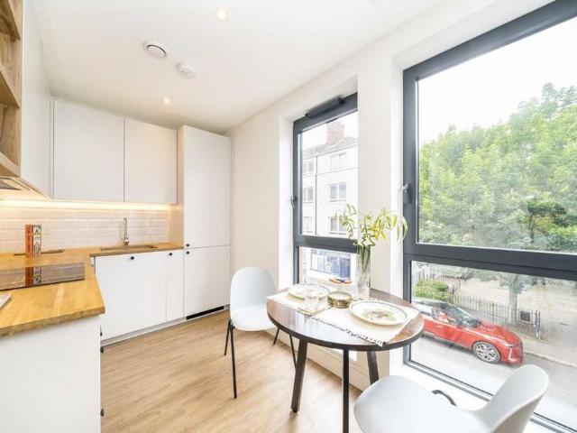 Studio to rent