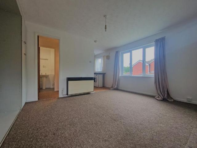 Studio to rent
