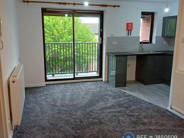 Studio to rent