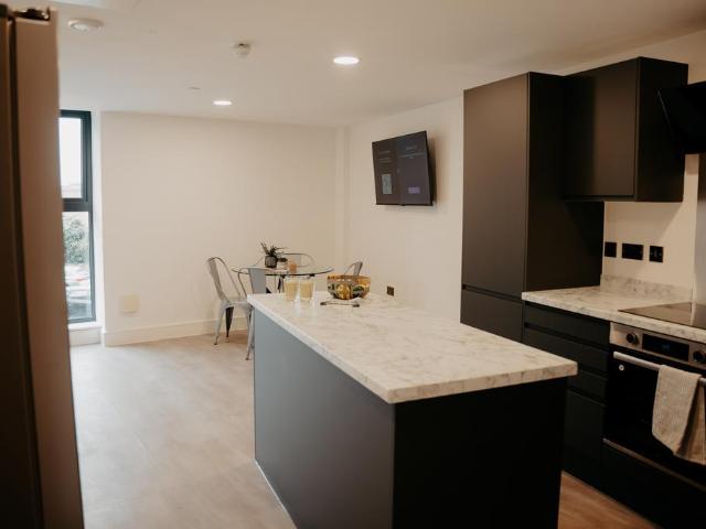 Studio to rent